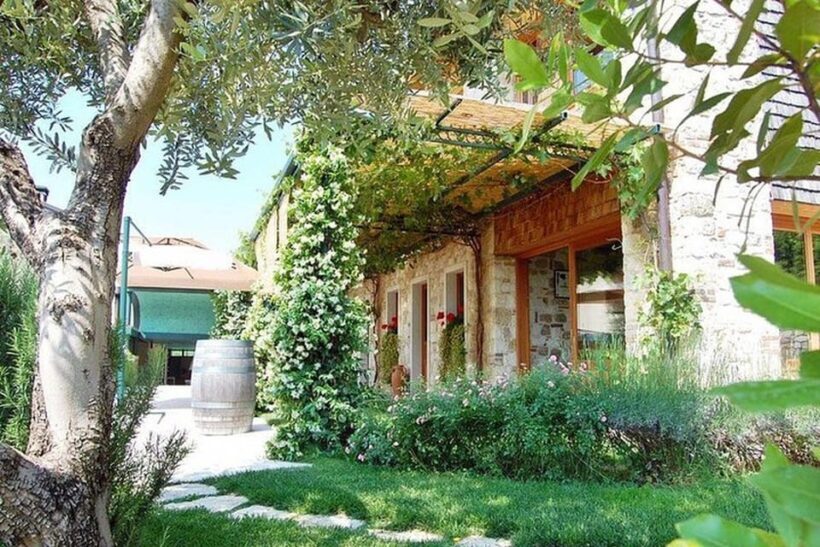 From Venice: Wine and Food tour in the Prosecco Hills - Key Points