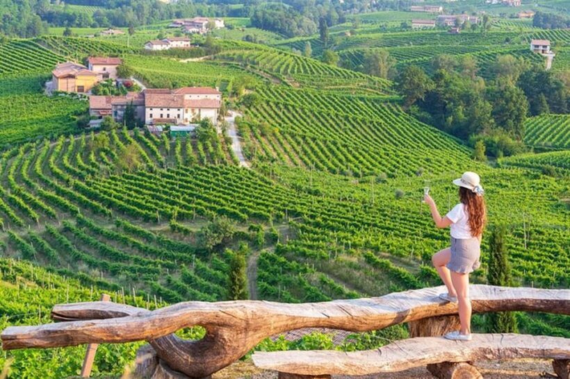 From Venice: Wine and Food tour in the Prosecco Hills - Exploring the Itinerary and What You Can Expect