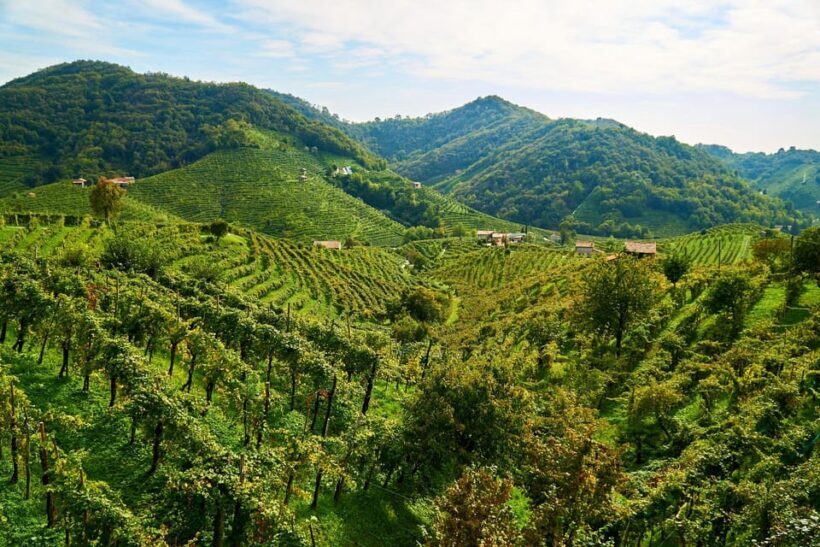 From Venice: Wine and Food tour in the Prosecco Hills - Additional Notes