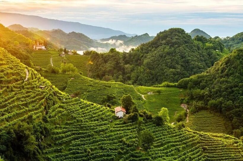 From Venice: Wine and Food tour in the Prosecco Hills - FAQs