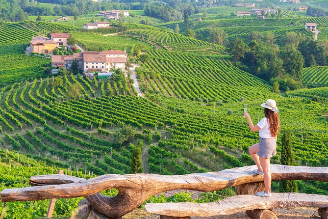 From Venice : Wine and Food tour in the Prosecco Hills - An In-Depth Look at the Prosecco Hills from Venice