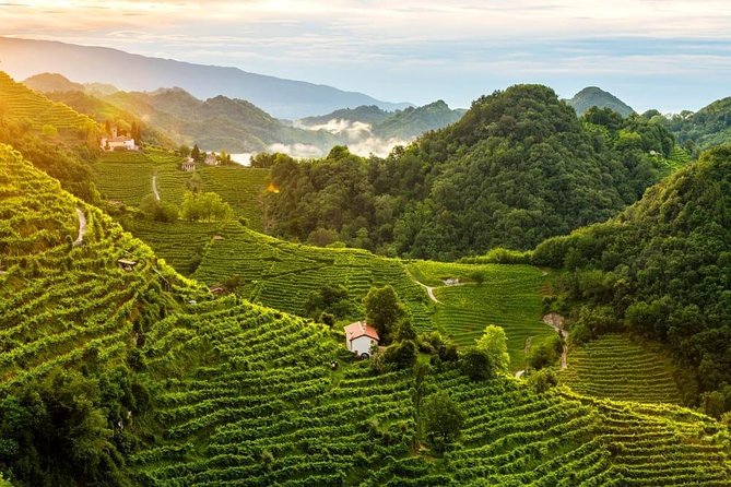 From Venice : Wine and Food tour in the Prosecco Hills - FAQ