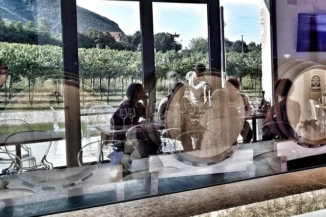 From Venice: Wine Tour in the Euganean Hills - Practical Tips for Booking and Enjoying Your Tour