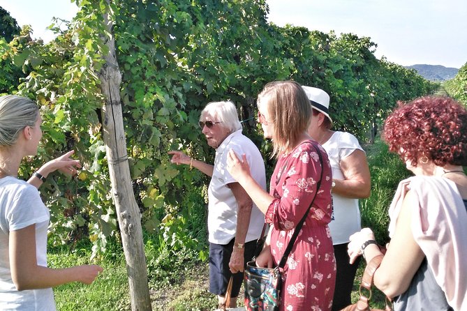 From Venice: Wine Tour in the Euganean Hills - FAQs