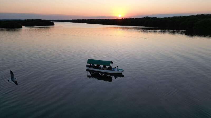 From Veracruz: Nature & Seafood Boat Tour to Madinga - An In-Depth Look at the Tour
