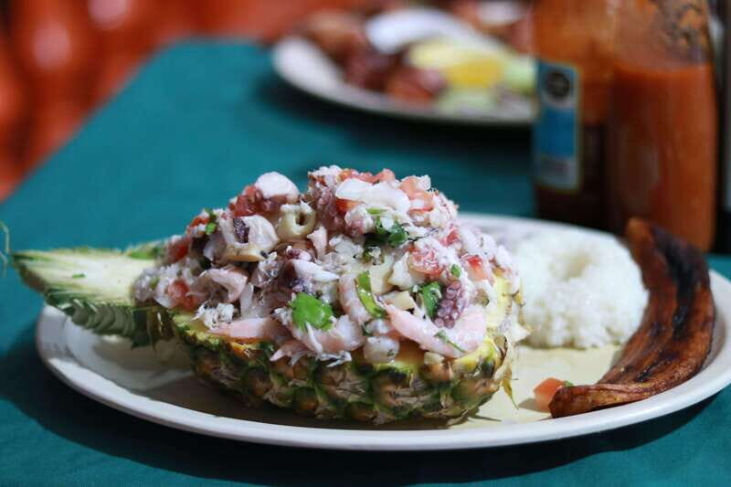 From Veracruz: Nature & Seafood Boat Tour to Madinga - Final Thoughts
