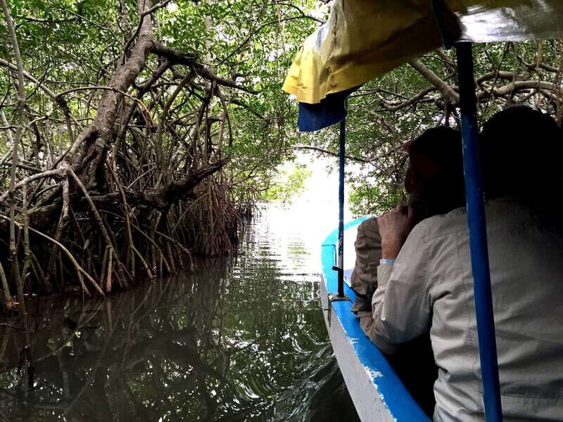 From Veracruz: Nature & Seafood Boat Tour to Madinga - FAQ