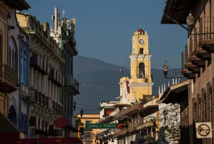 From Veracruz: Xalapa & Coatepec Day Trip - Key Points