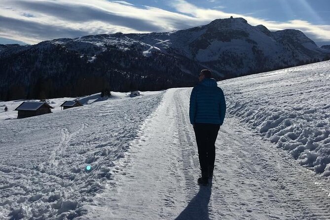 From Verona area: Private day trip to the Dolomites - Final Impression: Is This Tour for You?