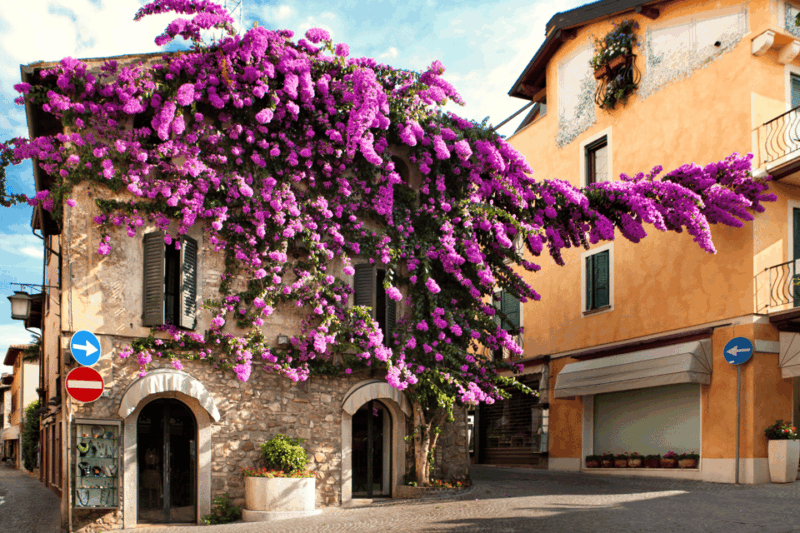 From Verona: discover Lake Garda and Sirmione private tour - Key Points