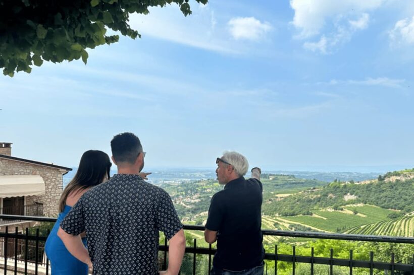 From Verona: tour of Lake Garda, Bardolino and Valpolicella! - Analyzing the Value