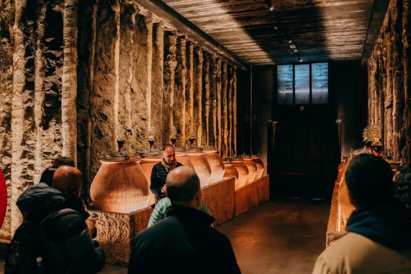 From Verona: Valpolicella and Amarone Wine Tasting Tour - An In-Depth Look at the Valpolicella and Amarone Wine Tasting Tour