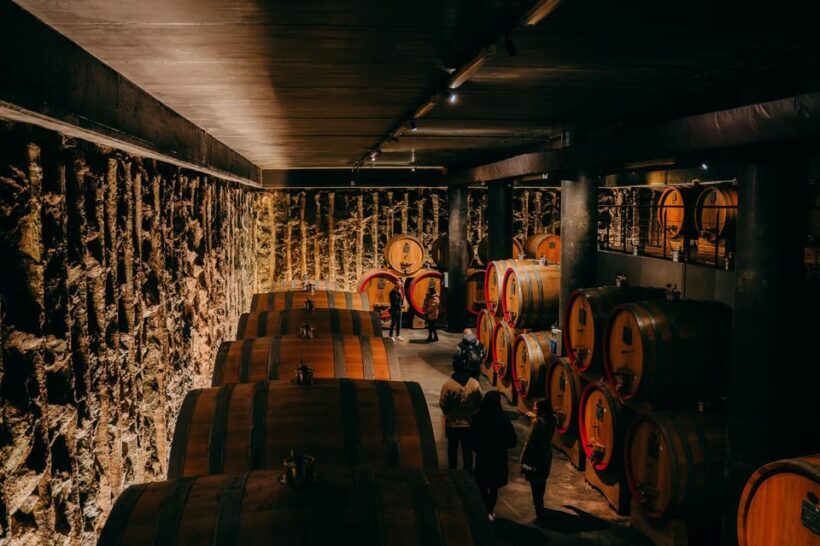 From Verona: Valpolicella and Amarone Wine Tasting Tour - The Experience of the Guide