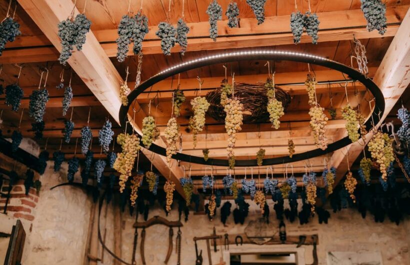From Verona: Valpolicella and Amarone Wine Tasting Tour - Who Should Book This Tour?