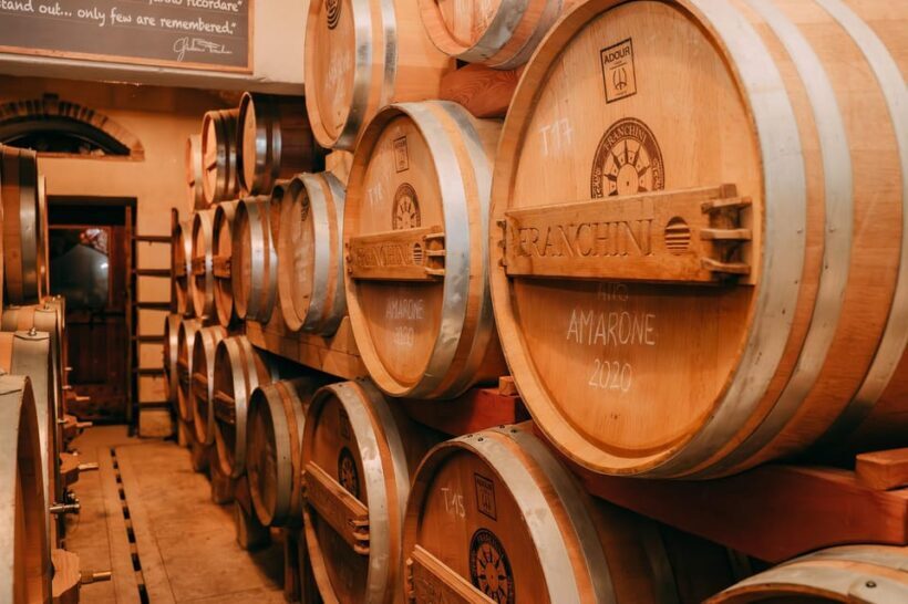 From Verona: Valpolicella and Amarone Wine Tasting Tour - Final Thoughts