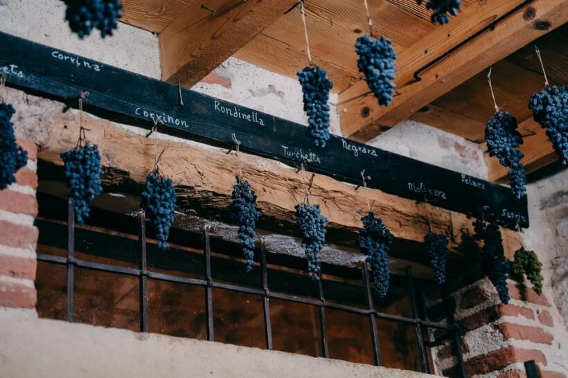 From Verona: Valpolicella and Amarone Wine Tasting Tour - FAQ