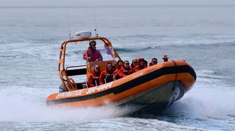 From Victoria: Whale Watching Tour by Zodiac Boat - The Sum Up