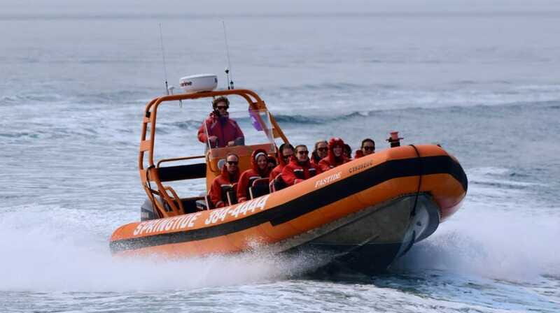 From Victoria: Whale Watching Tour by Zodiac Boat - FAQ