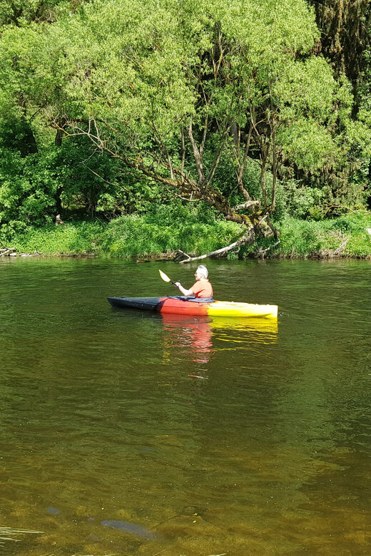 From Viechtach: Regen River Canoe Tour to Höllensteinsee - Key Points