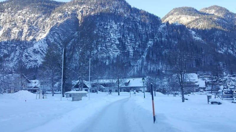 From Vienna: Christmas Markets Day Trip to Hallstatt 2025 - The Sum Up: Who Will Love This Tour?