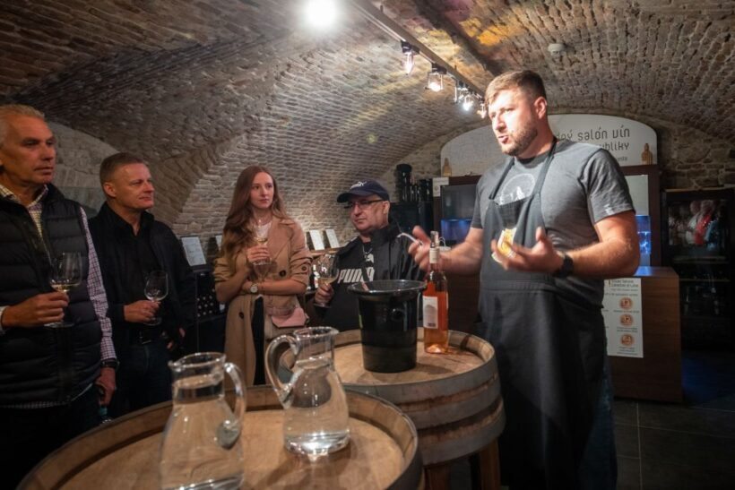 From Vienna: Explore the Tastes of Bratislava on a Day Trip - An In-Depth Look at the Bratislava Day Trip from Vienna