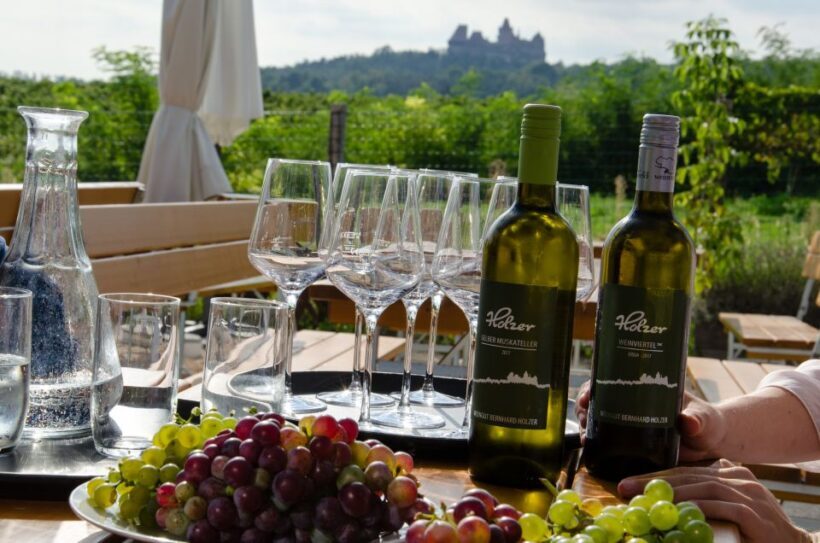 From Vienna: Half-day Countryside Wine Tour with Meal - Who Would Love This Tour?