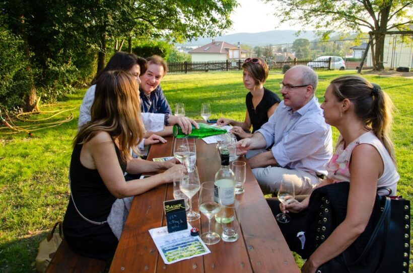 From Vienna: Half-day Countryside Wine Tour with Meal - FAQs