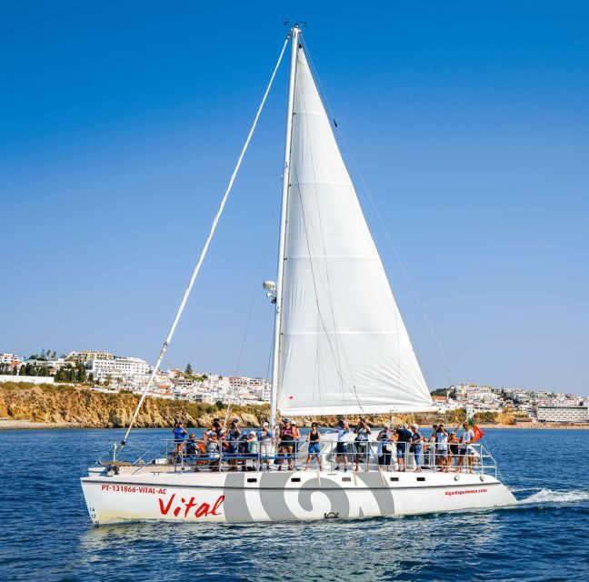 From Vilamoura: Sunset Catamaran Experience - Who Will Love This Tour?