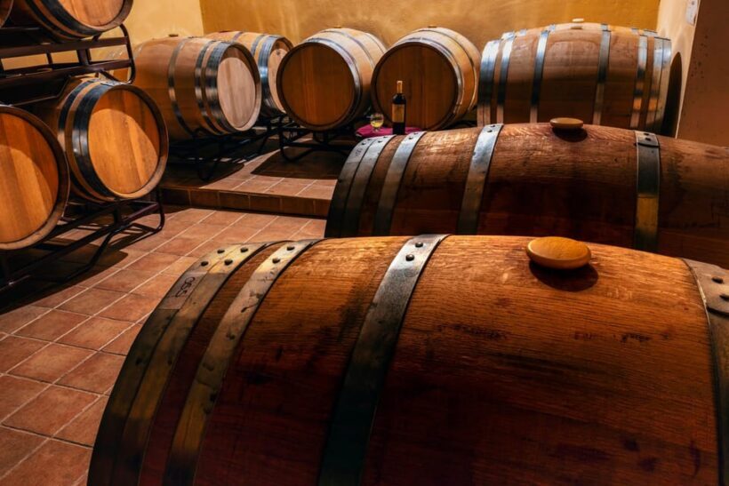 From Villa de Leyva: Vineyard Tour - Introduction