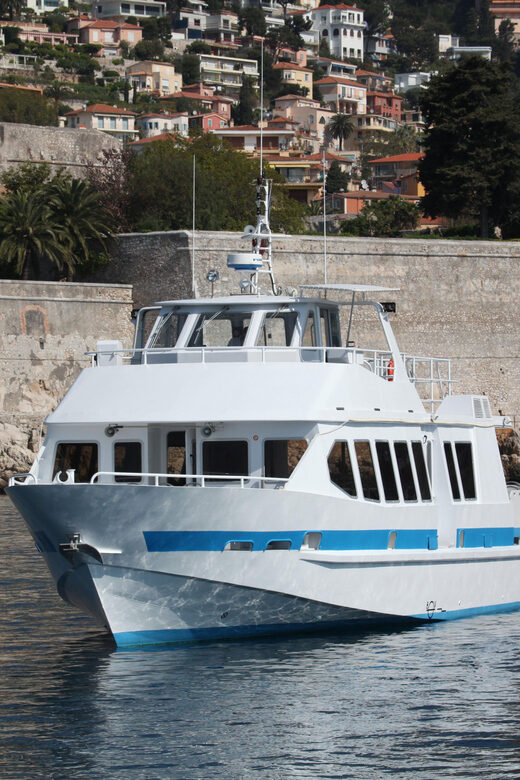 From Villefranche-sur-Mer: Guided Dolphin-Watching Tour - Final Thoughts: Who Will Love This Tour?