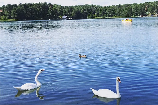 From Vilnius: Private Tour to Trakai - Final Thoughts