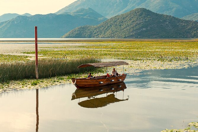 From Virpazar: Birdwatching and Photography on Skadar Lake - Cost and Value Analysis