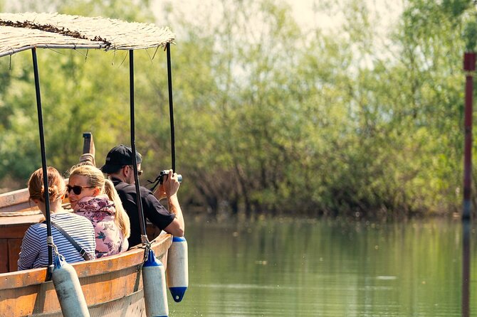 From Virpazar: Birdwatching and Photography on Skadar Lake - Practical Tips