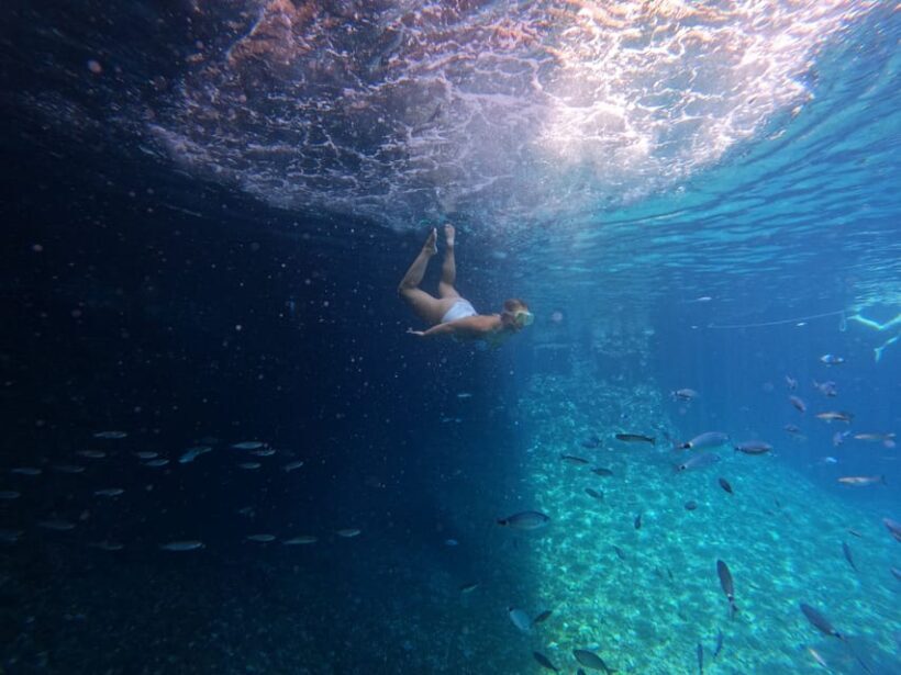 From Vis: Speedboat tour - Vis, Bievo & Blue Cave (shared) - Who Will Love This Tour?