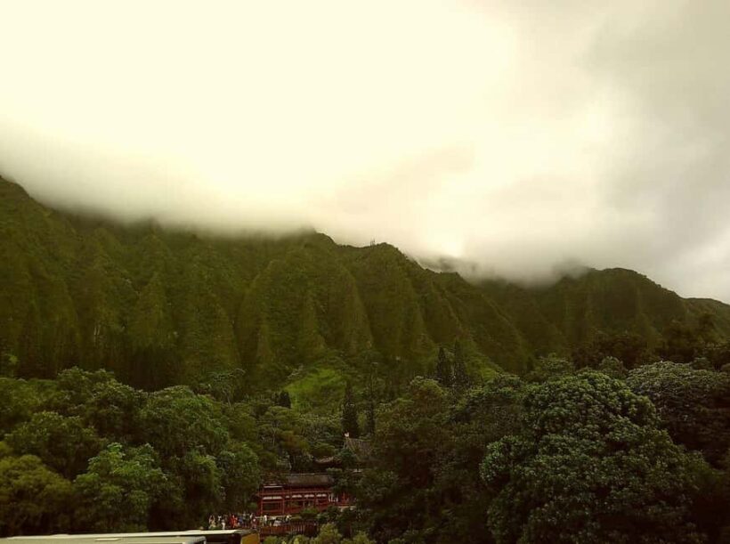 From Waikiki: Hawaii Grand Circle Island Tour - Introduction