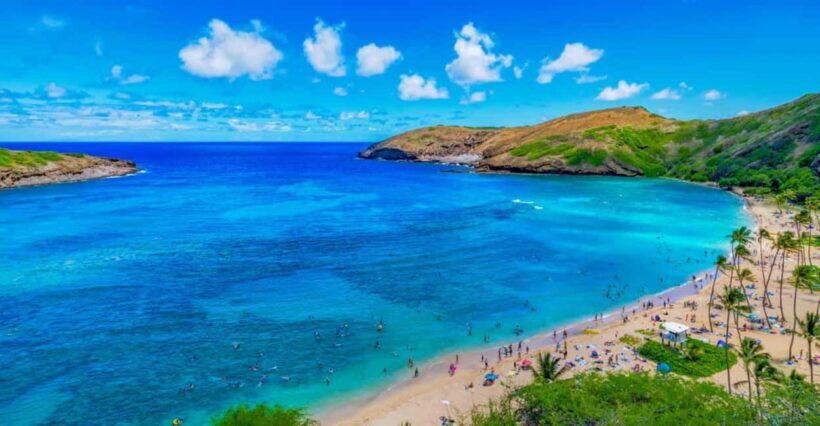 From Waikiki: Hawaii Grand Circle Island Tour - Why This Tour Works for Travelers