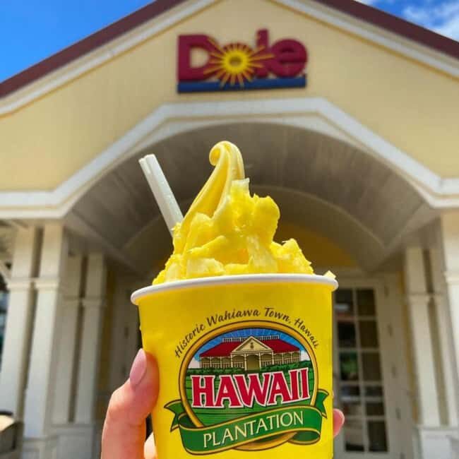 From Waikiki: Oahu Circle Island Tour - Practical Details: How It Works and What to Expect