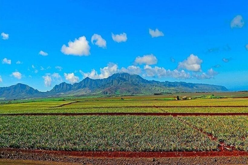 From Waikiki: Oahu Grand Circle Island Experience - Key Points
