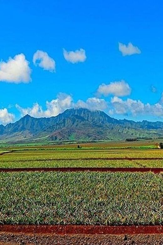 From Waikiki: Oahu Grand Circle Island Experience - The Sum Up