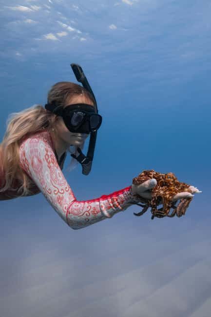 From Waikiki: Turtle Canyon Snorkeling Tour - Final Thoughts