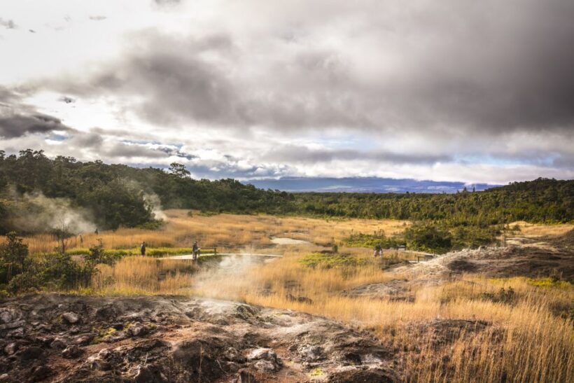 From Waikoloa: Big Island Tour with Lunch - Key Points