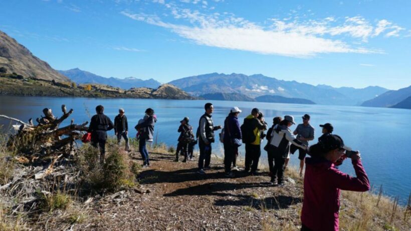 From Wanaka: Ruby Island 1-Hour Cruise and Photo Walk - An In-Depth Look at the Tour Experience
