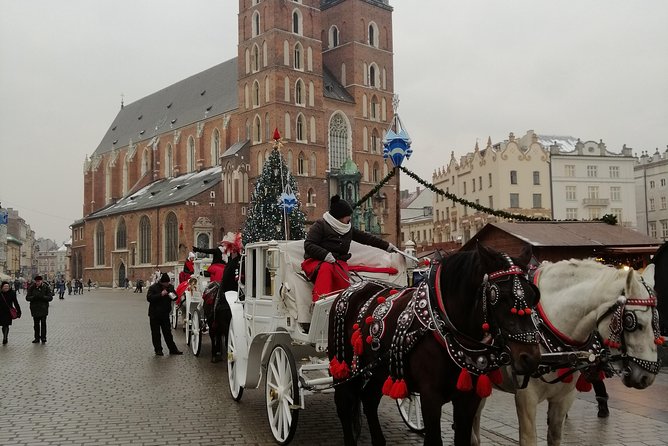 From Warsaw Auschwitz and Krakow One Day Tour by Train With Pick up and Drop off - Preparation Recommendations