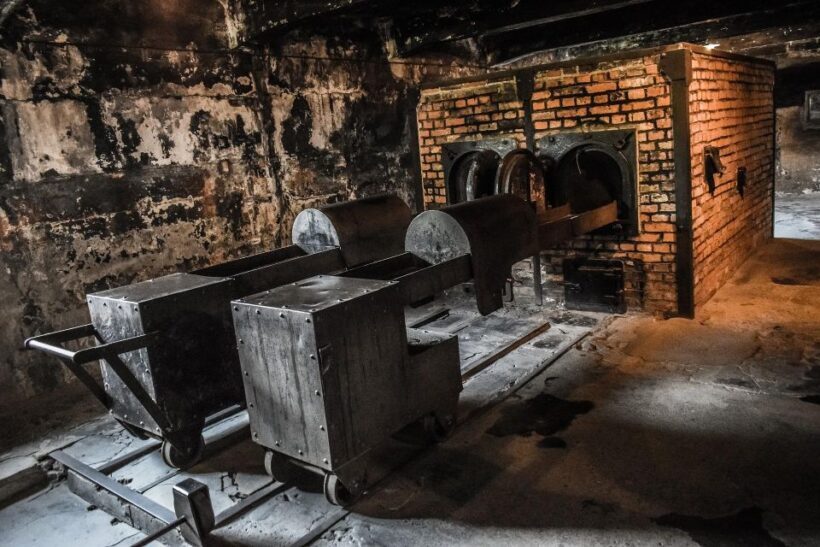 From Warsaw: Auschwitz-Birkenau Guided Tour with Fast Train - Who Will Love This Tour?