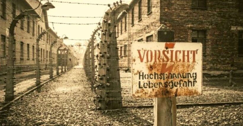 From Warsaw: Auschwitz-Birkenau Small Group Tour with Lunch - An In-Depth Look at the Auschwitz-Birkenau Tour Experience