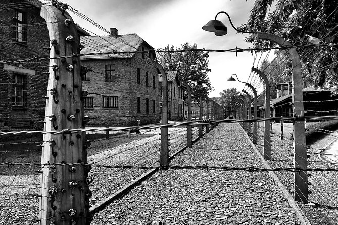 From Warsaw: Auschwitz-Birkenau Tour with Premium Train Transportation - The Sum Up