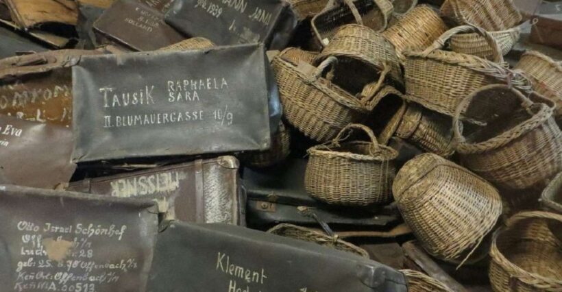 From Warsaw: Shared guided tour to Auschwitz-Birkenau - Important Details and Practical Tips