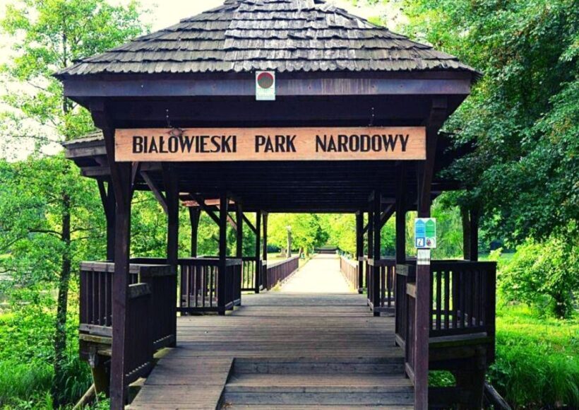 From Warsaw: Small-Group Tour to Bialowieza National Park - Introduction