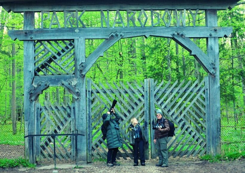 From Warsaw: Small-Group Tour to Bialowieza National Park - Who Will Love This Tour?