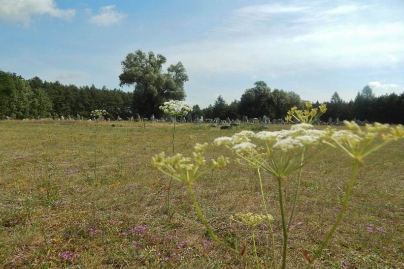 From Warsaw: Treblinka Half-Day Private Tour with Car - FAQs